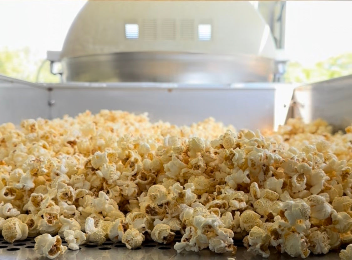 Popcorn Fix | Buy Gourmet Popcorn | Single-Serve To Bulk Size Bags